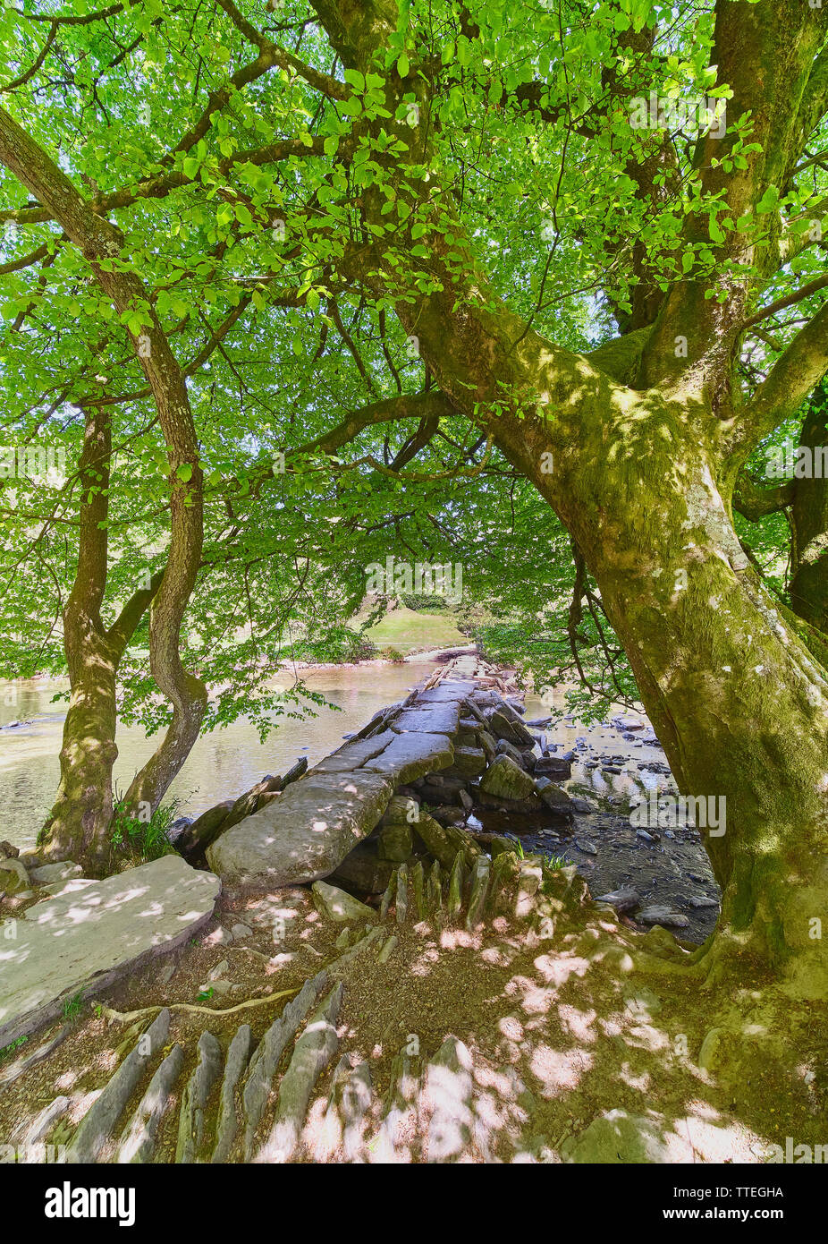 Tarr Steps in Spring, Exmoor National Park, Somerset Stock Photo - Alamy
