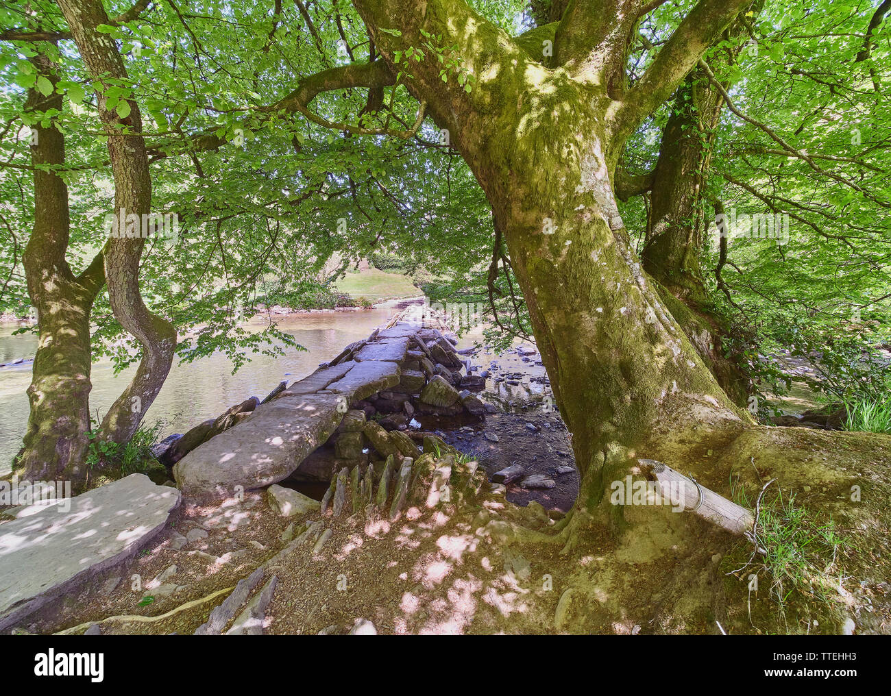 Tarr Steps in Spring, Exmoor National Park, Somerset Stock Photo - Alamy