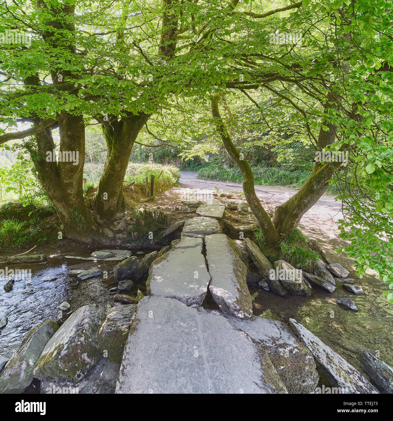 Tarr steps prehistoric clapper bridge hi-res stock photography and ...