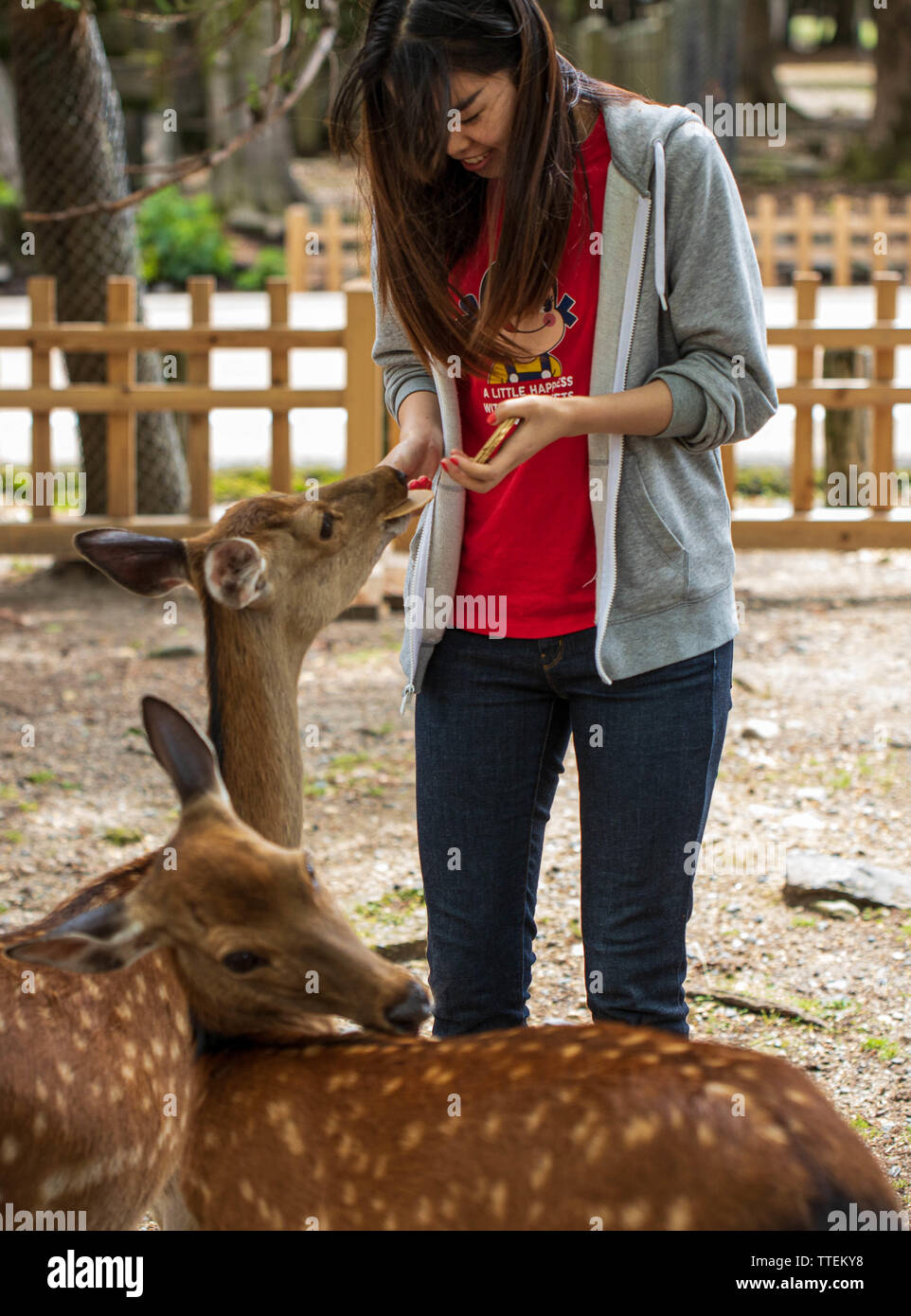 Senbe hi-res stock photography and images - Alamy