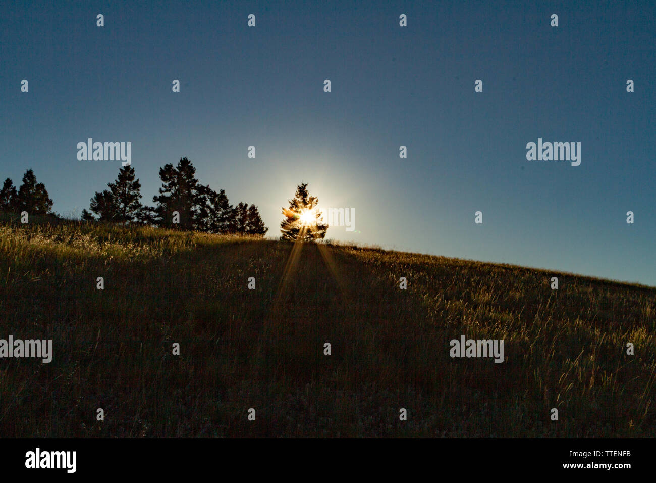 Curved star hi-res stock photography and images - Alamy