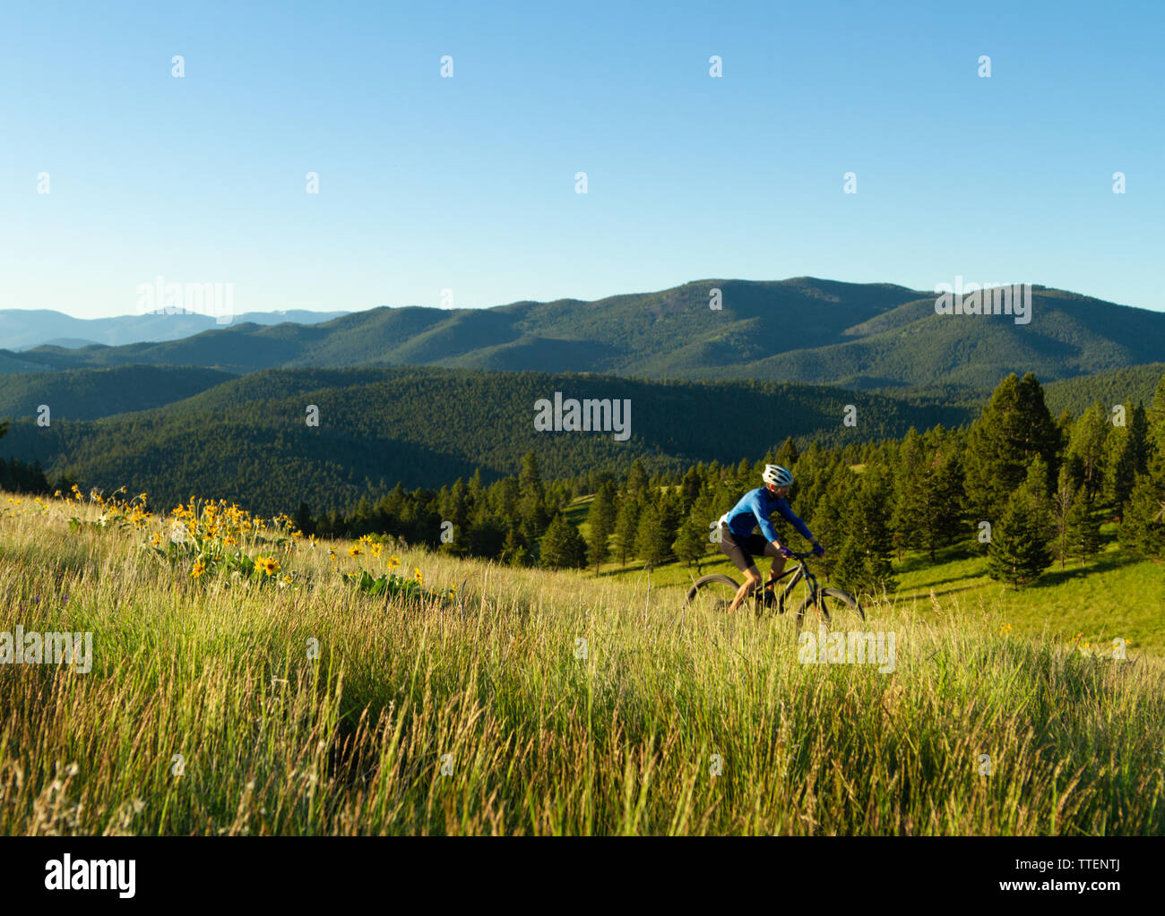 Mt helena ridge trail hi-res stock photography and images - Alamy