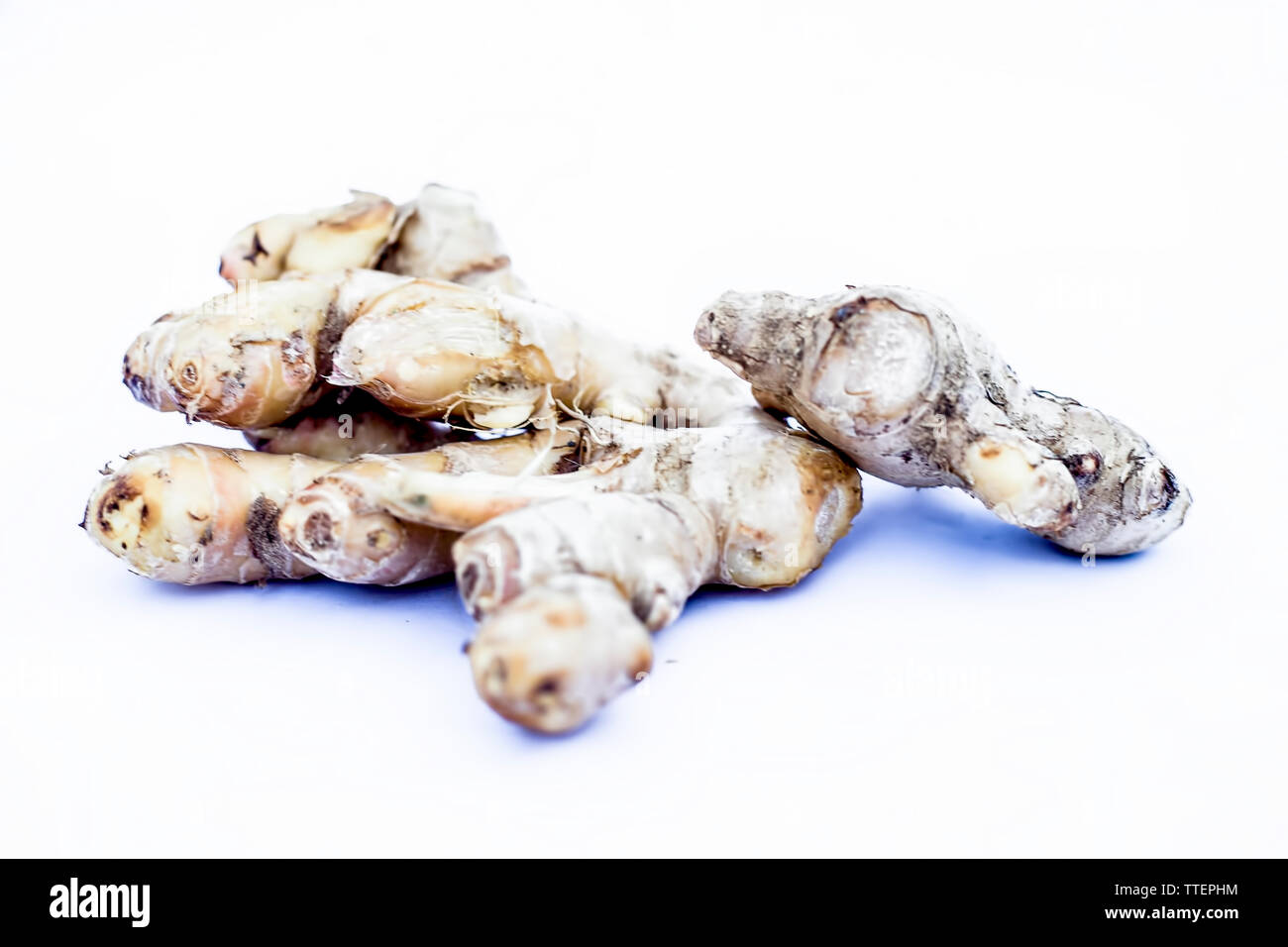 Close up of raw fresh organic ginger or adrak or Zingiber officinale ...