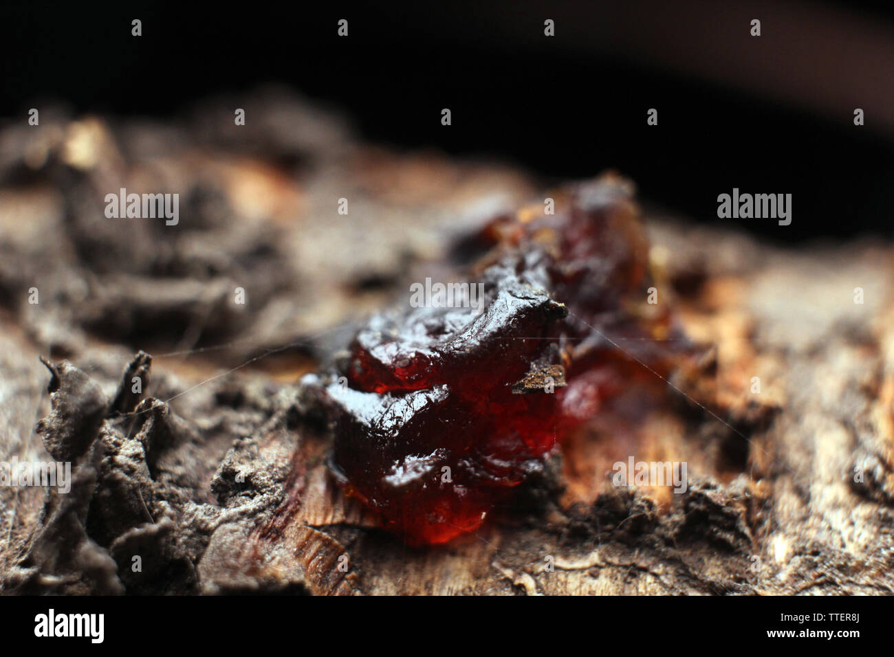 Peach resin hi-res stock photography and images - Alamy