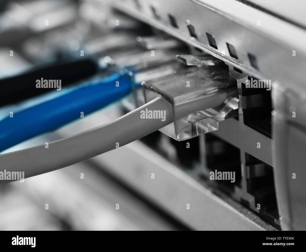 Ethernet cables connected to network switch, close up Stock Photo - Alamy