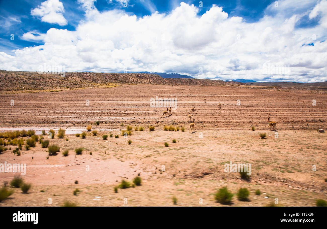 Bolivia desert landscape hi-res stock photography and images - Alamy