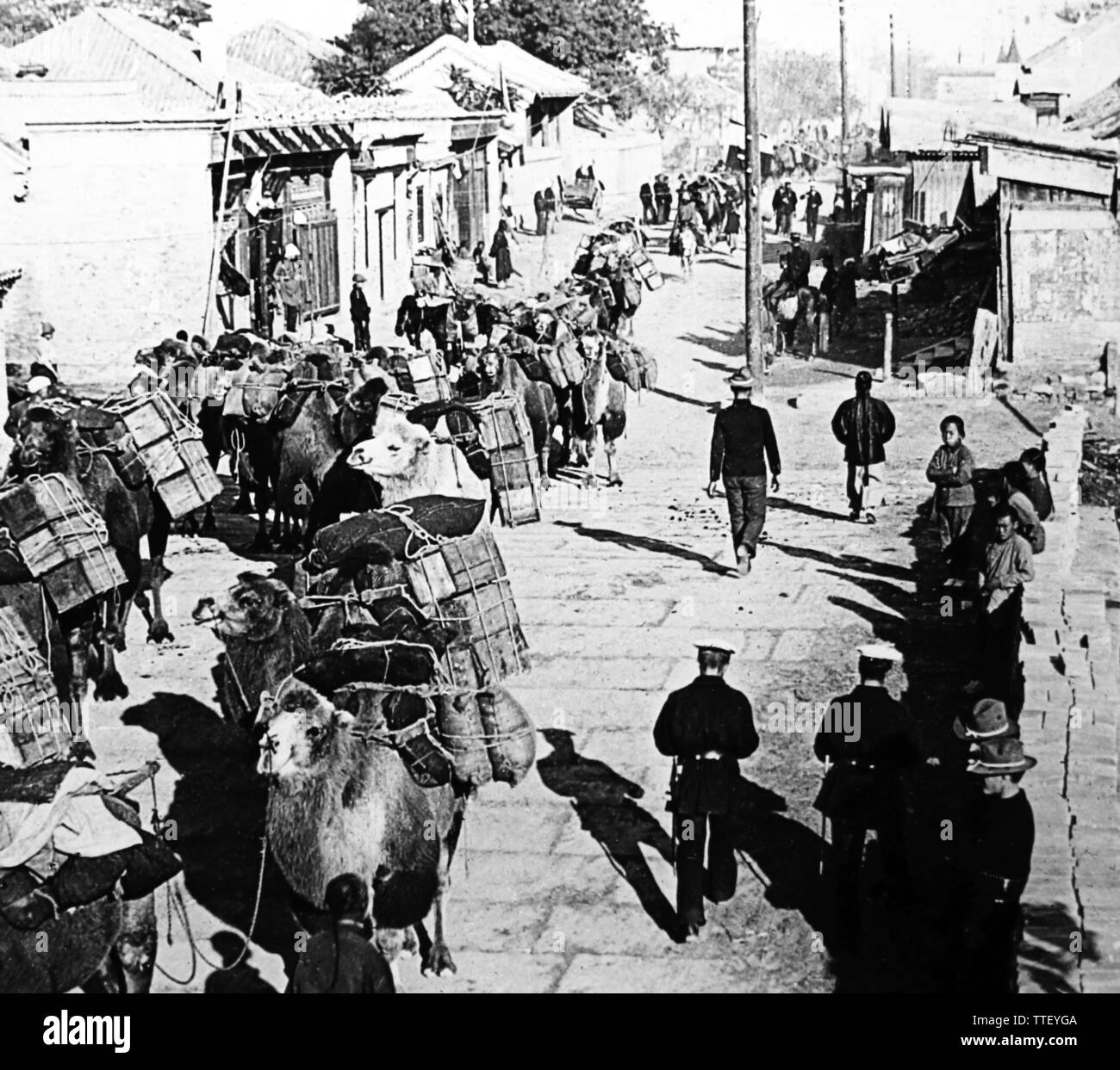 Camel train, Beijing, China Stock Photo - Alamy