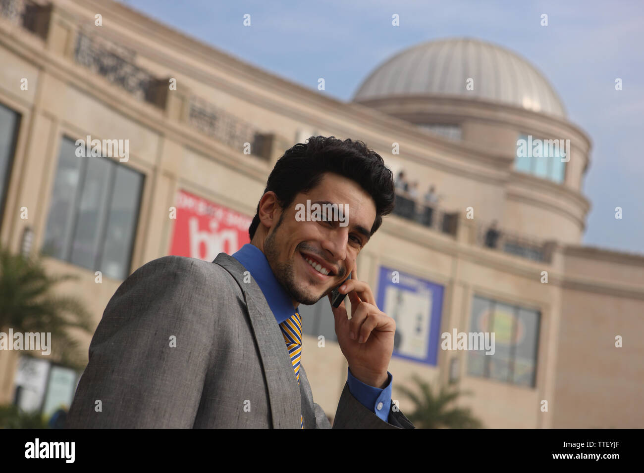Indian businessman talking on a mobile phone at an office Stock Photo ...