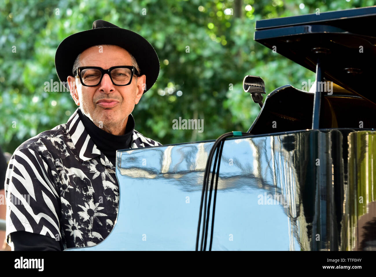 Goldbloom hi-res stock photography and images - Alamy