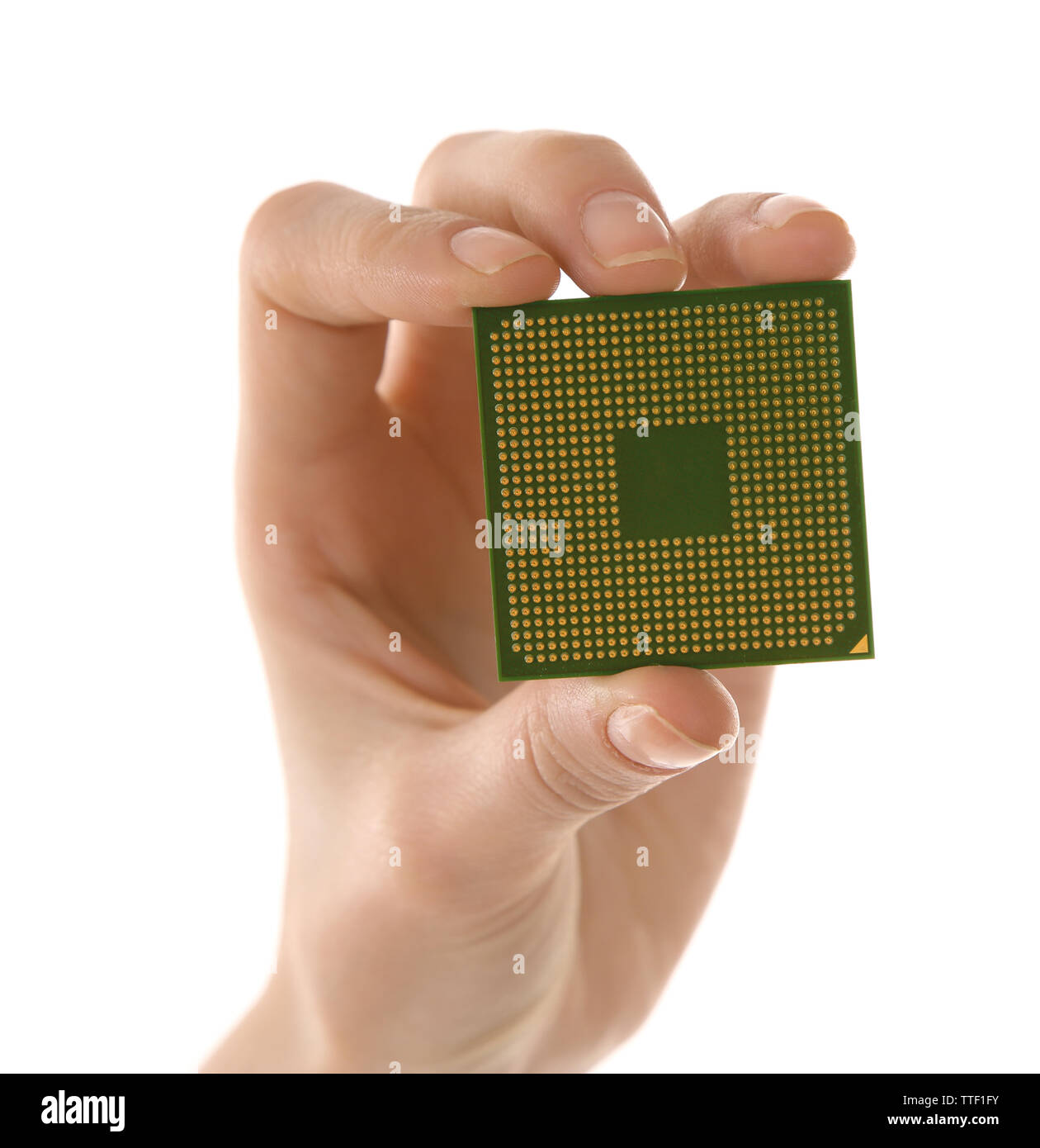 Male hand holding microprocessor on white background Stock Photo - Alamy
