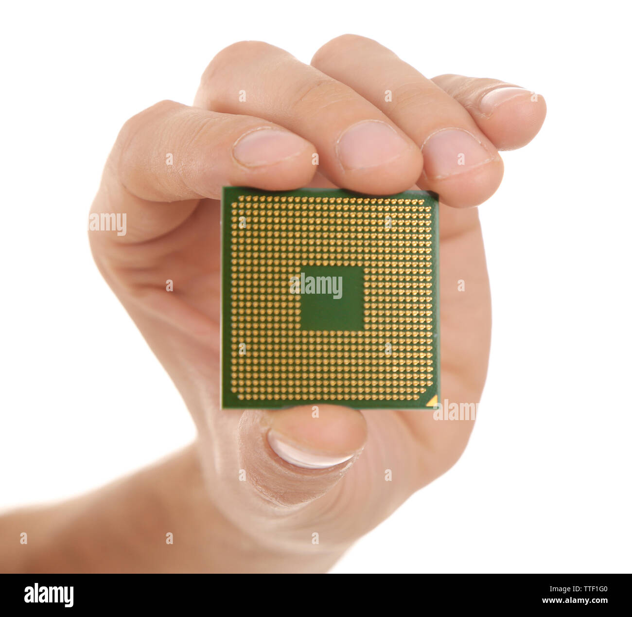Male hand holding microprocessor on white background Stock Photo - Alamy