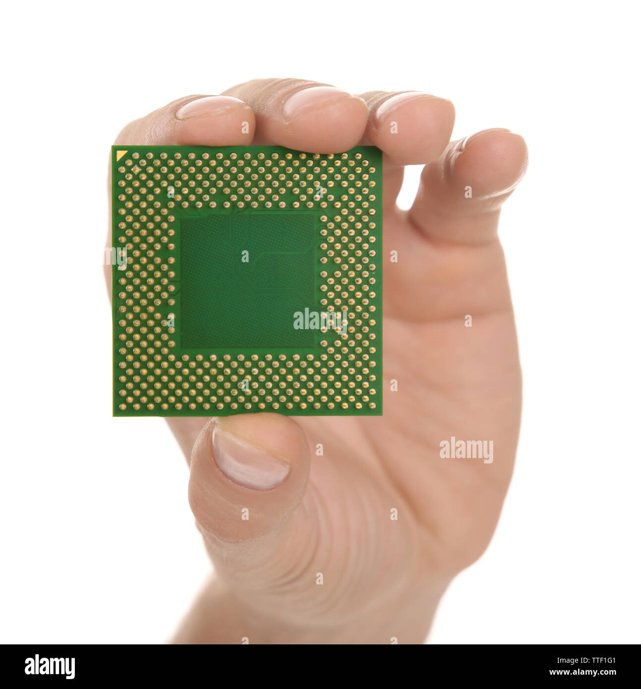 Male hand holding microprocessor on white background Stock Photo - Alamy
