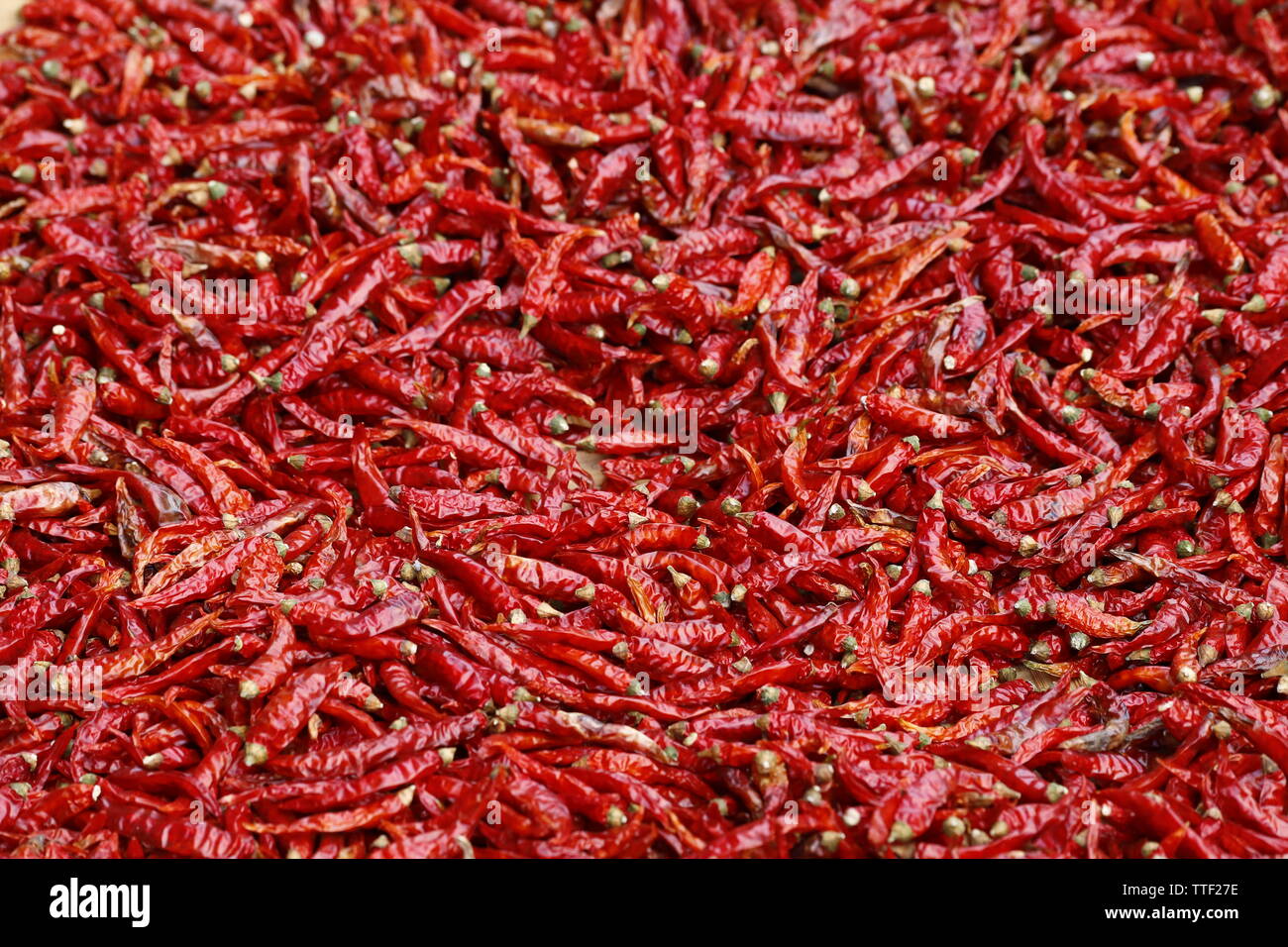 Red chilli in a stall in the Jianshui market, Yunnan, China Stock Photo ...
