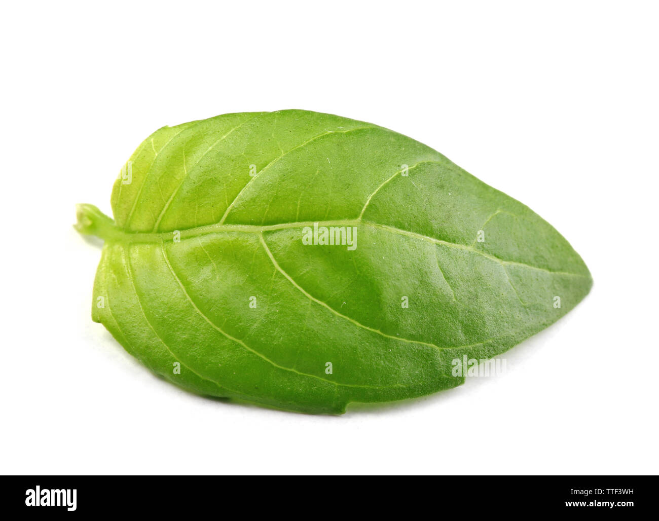 Fresh basil leaf isolated on white Stock Photo - Alamy