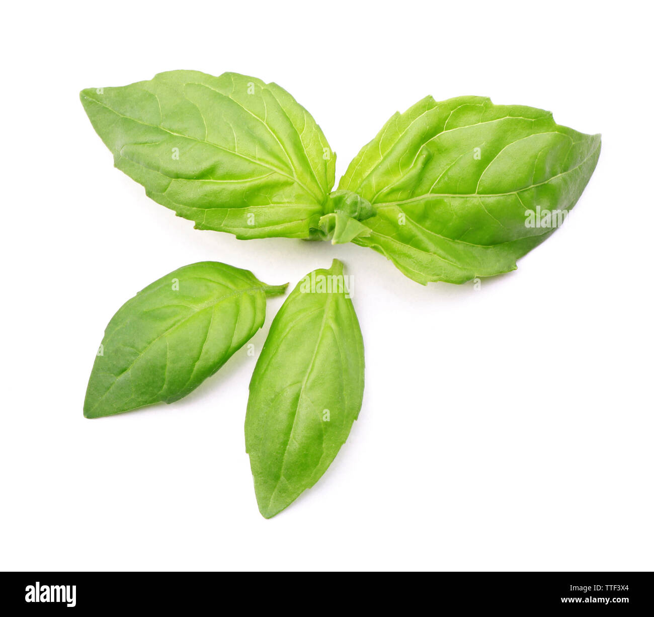 Fresh basil leaves group isolated on white Stock Photo - Alamy