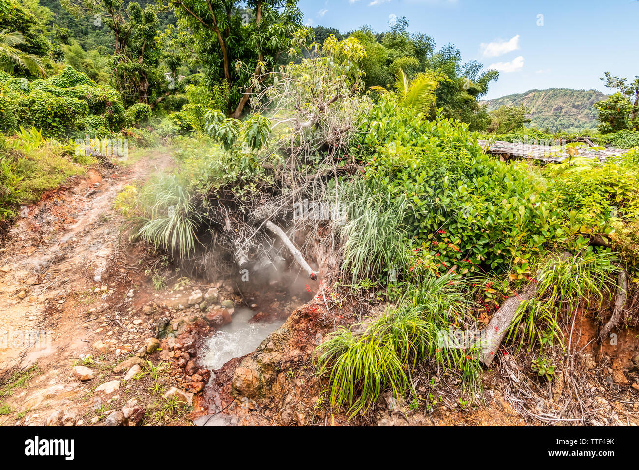Thermal springs dominica hi-res stock photography and images - Alamy