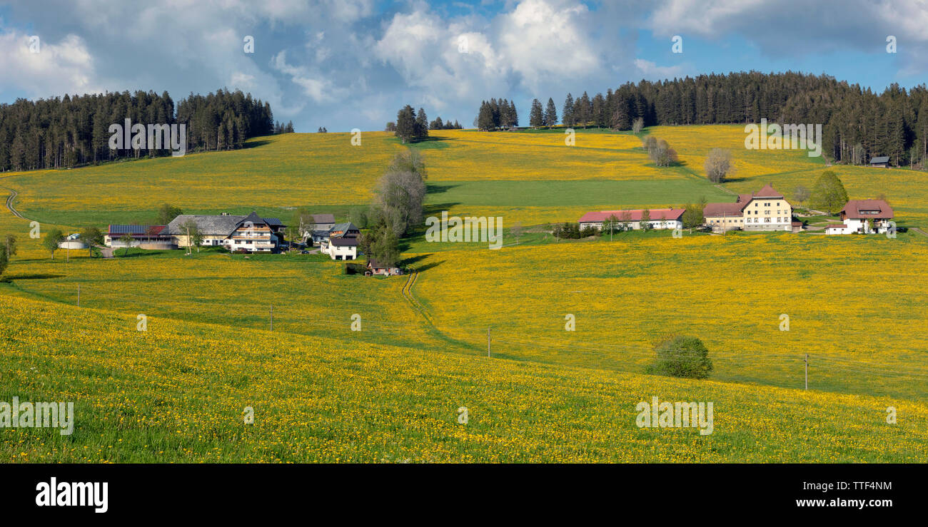Breitnau schwarzwald hi-res stock photography and images - Alamy