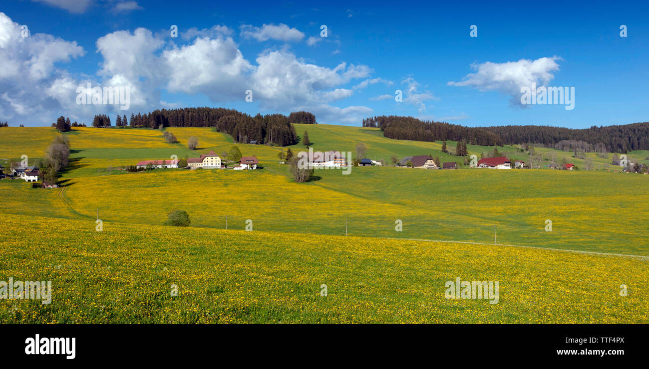 Breitnau schwarzwald hi-res stock photography and images - Alamy
