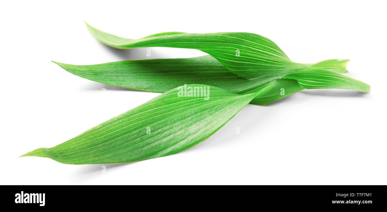 Green tea leaves, isolated on white Stock Photo - Alamy