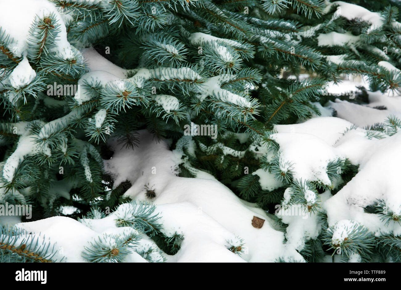 Pure white snow place hi-res stock photography and images - Alamy