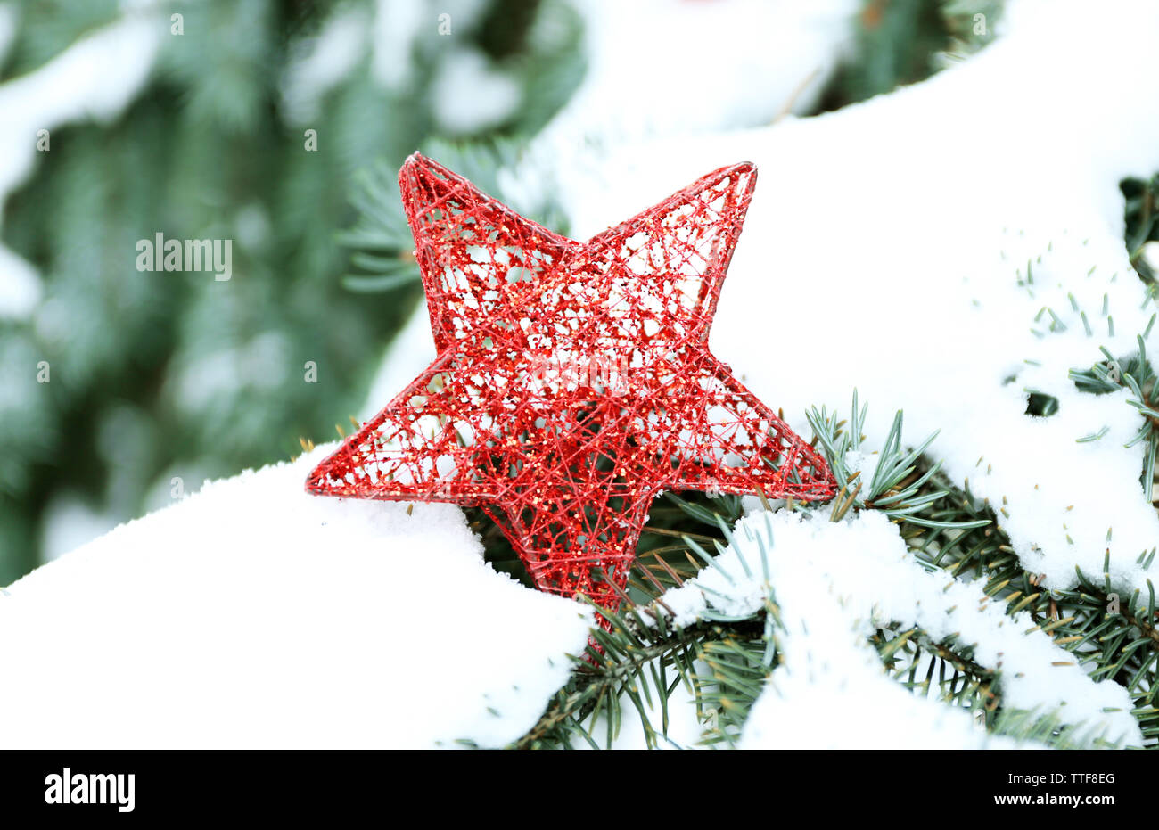 Christmas red star on a snowy fir tree branch Stock Photo - Alamy