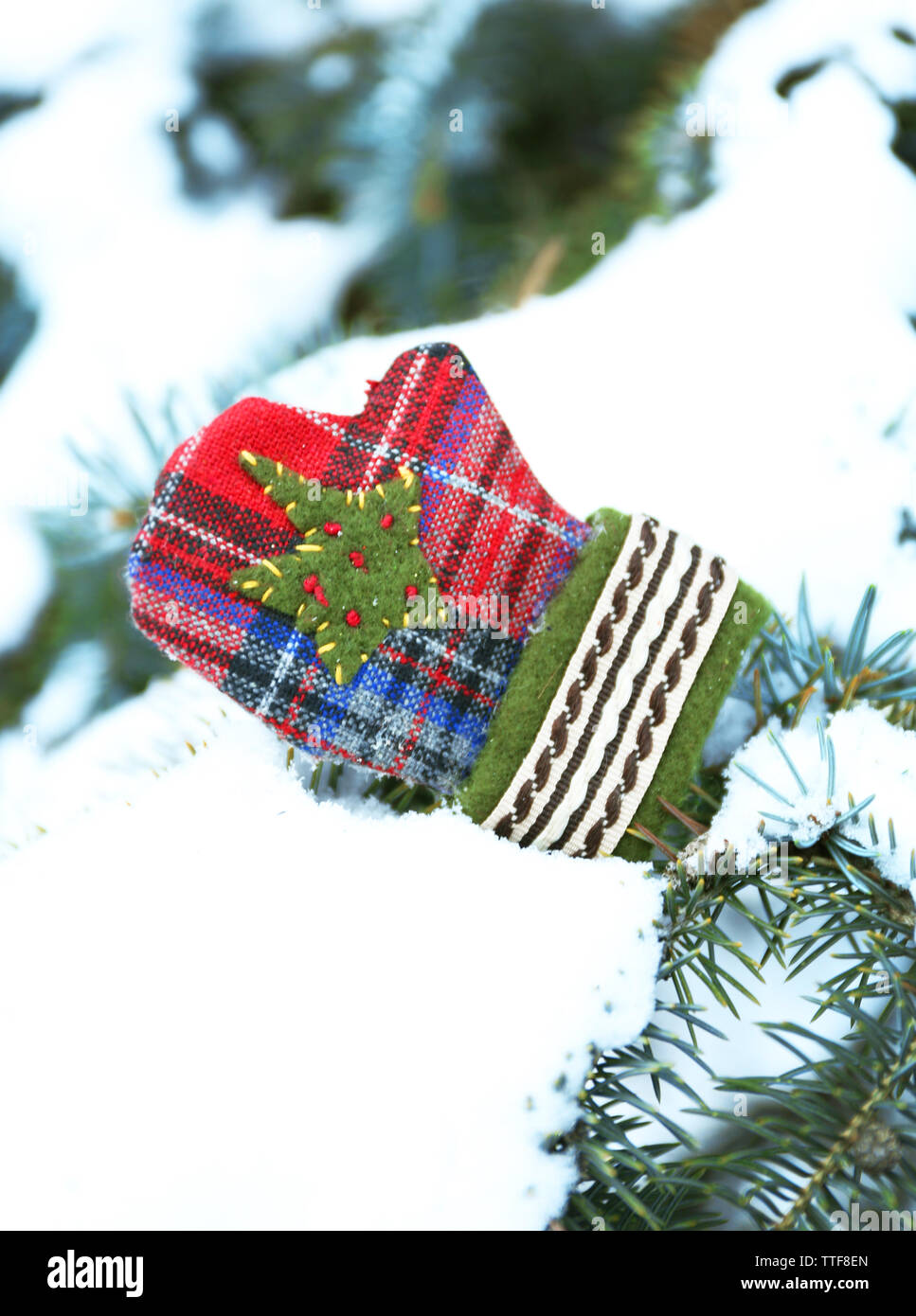 Little mitten on a snowy fir tree branch Stock Photo - Alamy