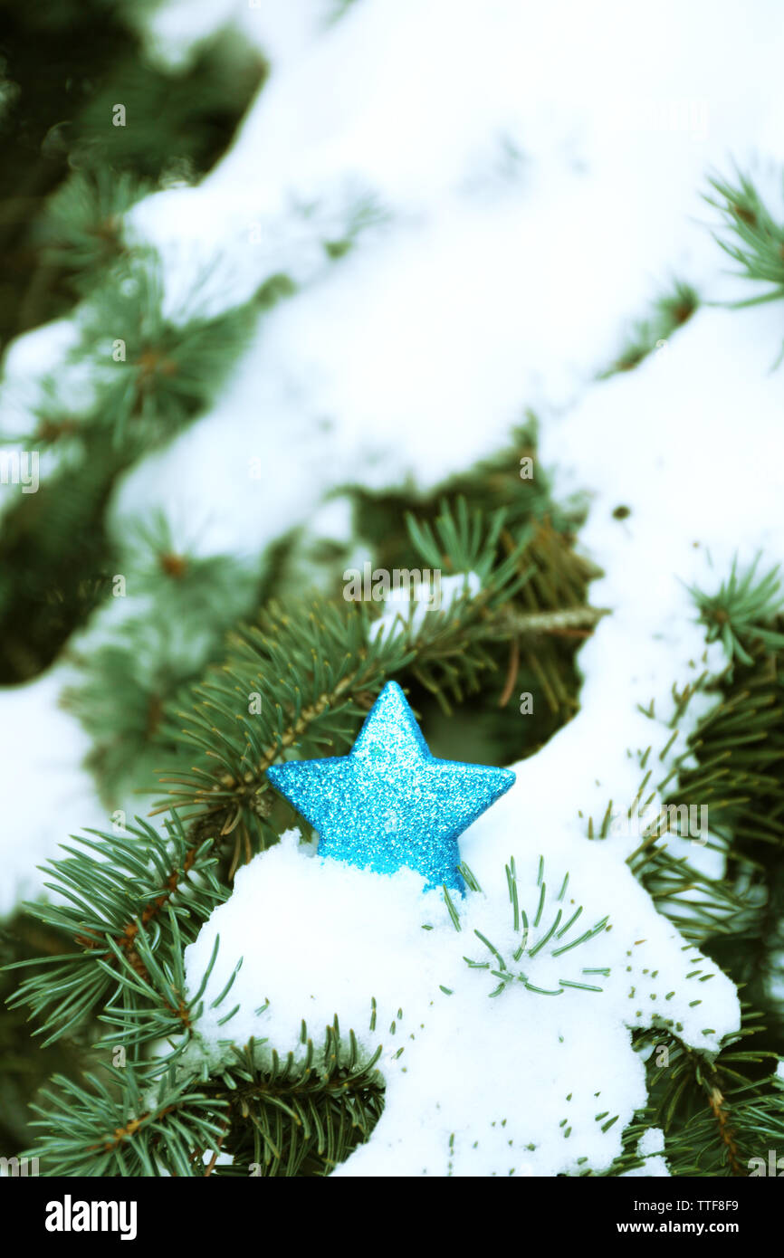 Christmas blue star on a snowy fir tree branch Stock Photo - Alamy