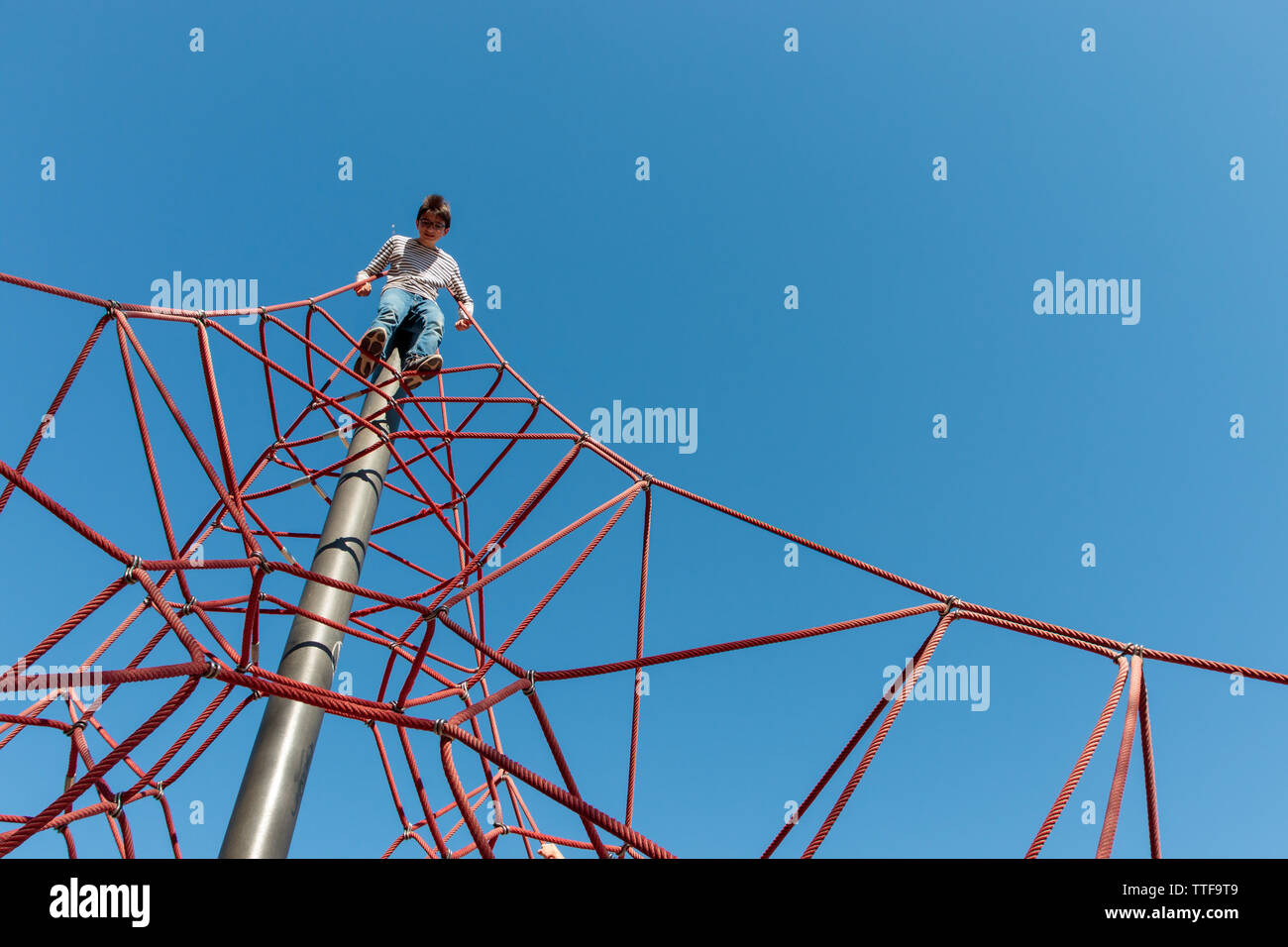 Kids climb trees hi-res stock photography and images - Alamy