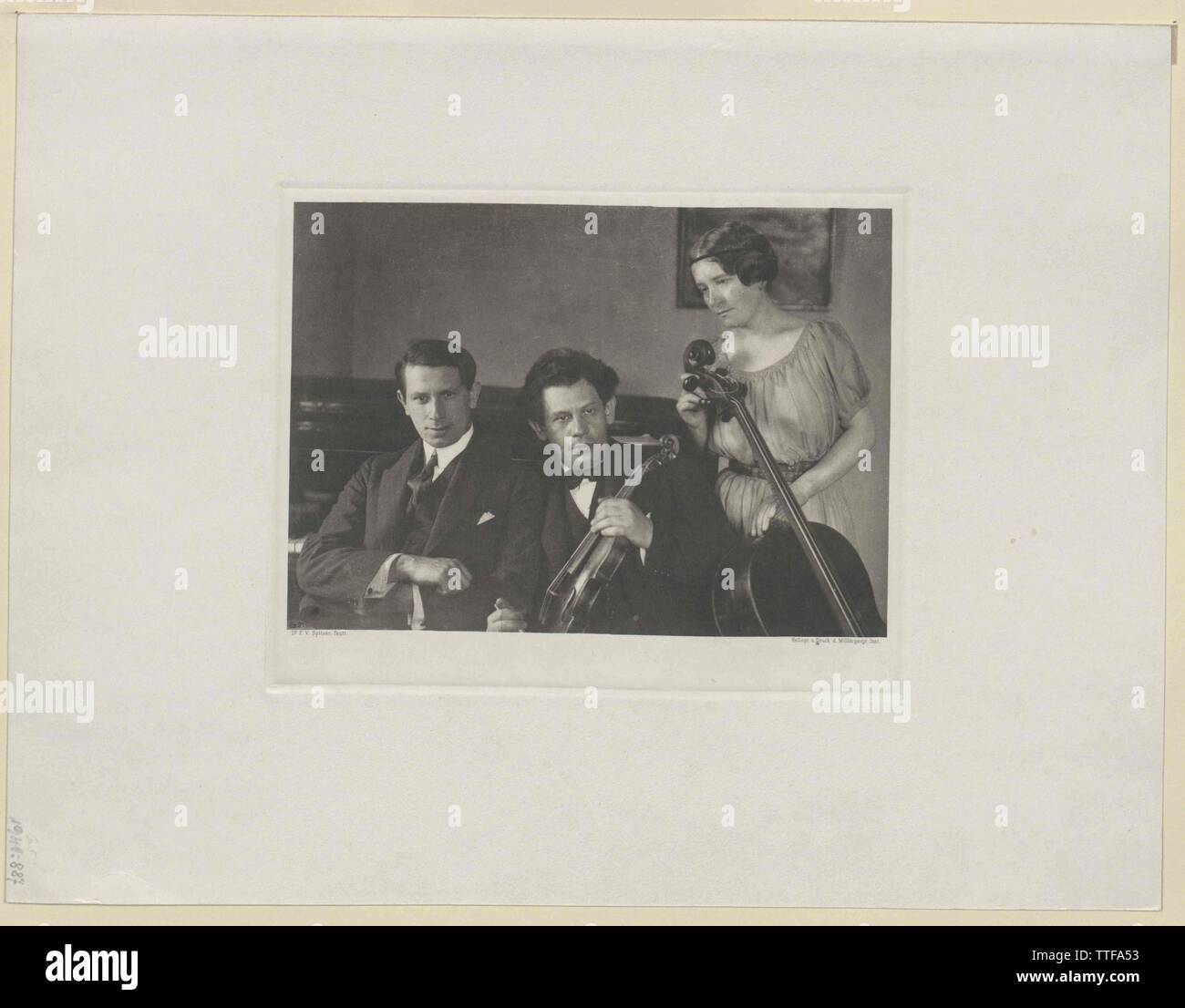 Pollak hi-res stock photography and images - Alamy