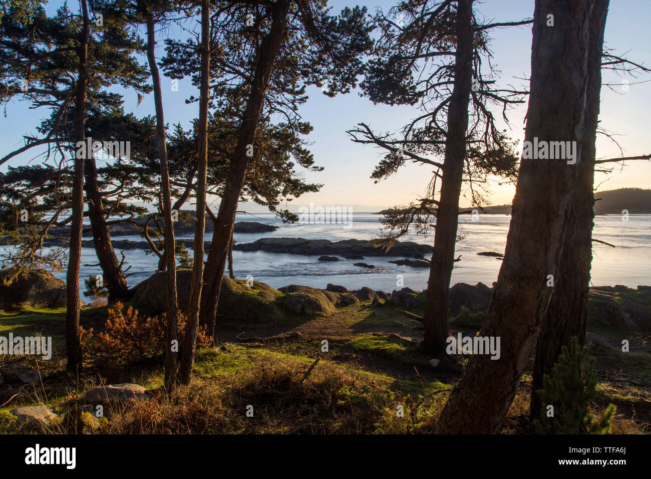 Lopez island hi-res stock photography and images - Alamy