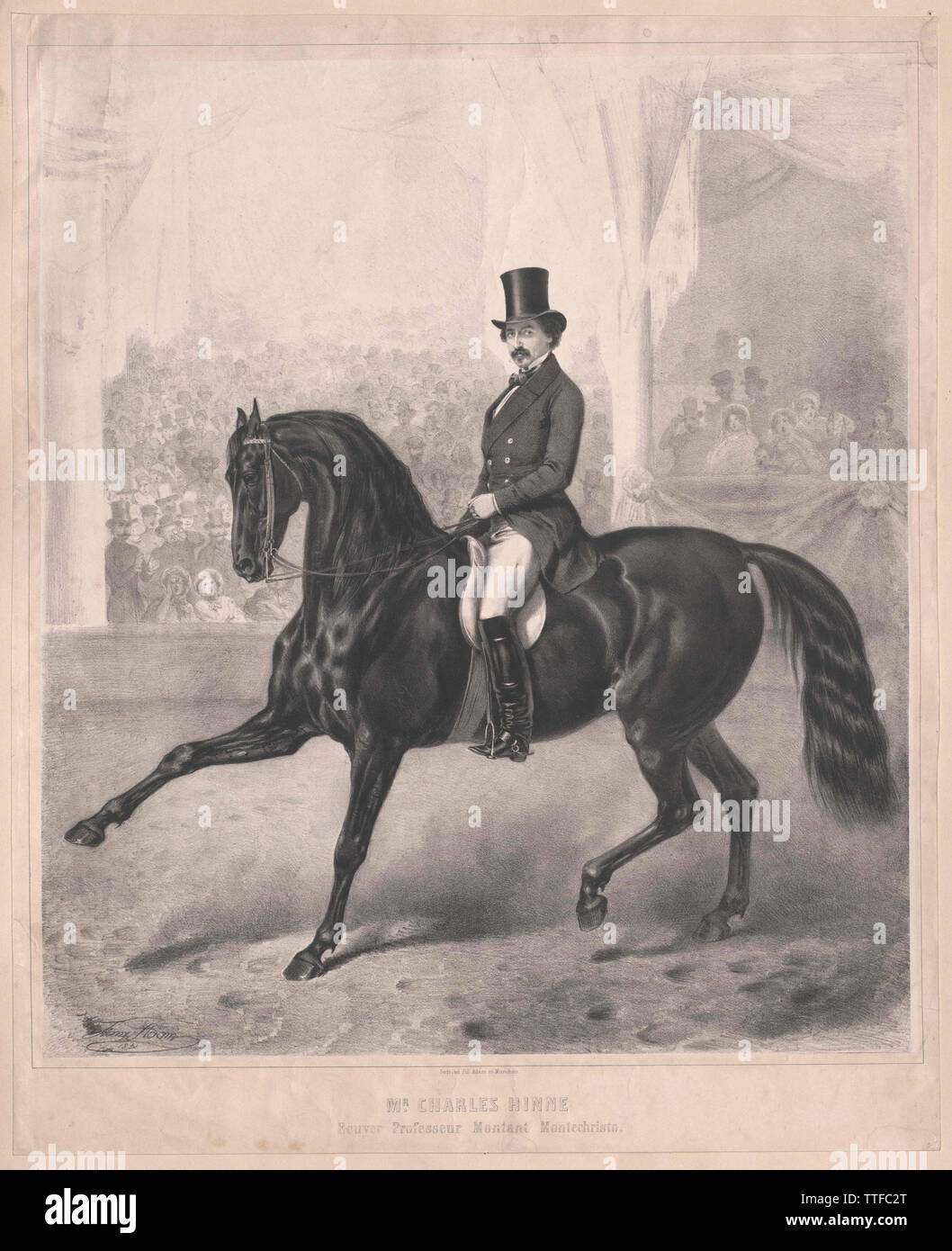 Carl magnus hi-res stock photography and images - Alamy