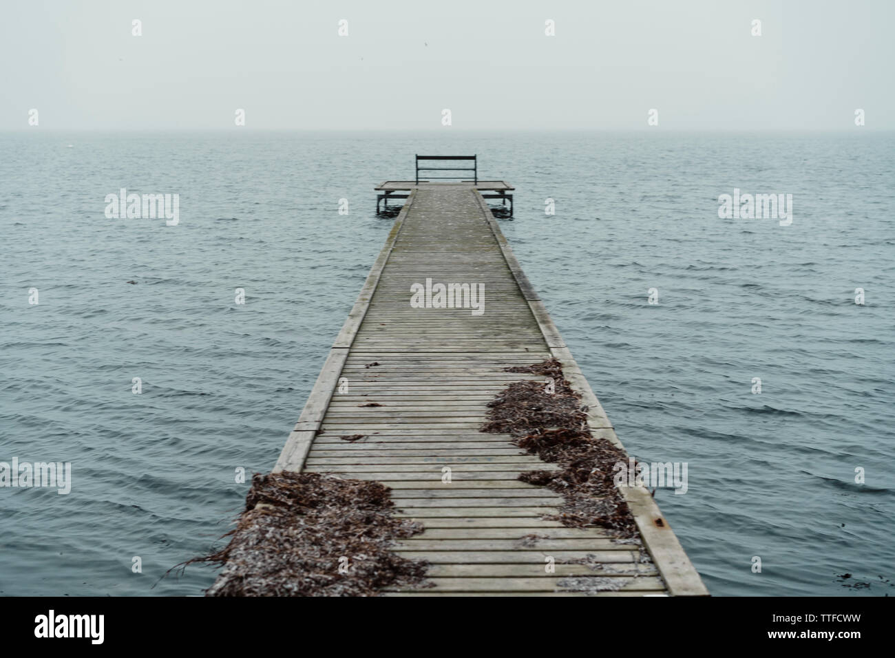Wooden observation dock hi-res stock photography and images - Alamy
