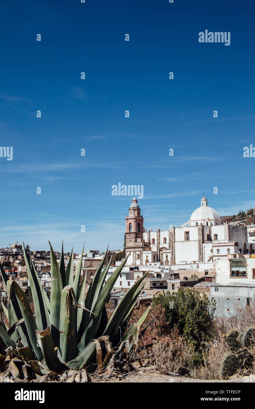 Agave and Church in Real de Catorce, Mexico Stock Photo - Alamy