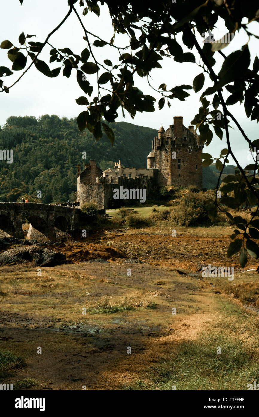 Ellen forest hi-res stock photography and images - Alamy