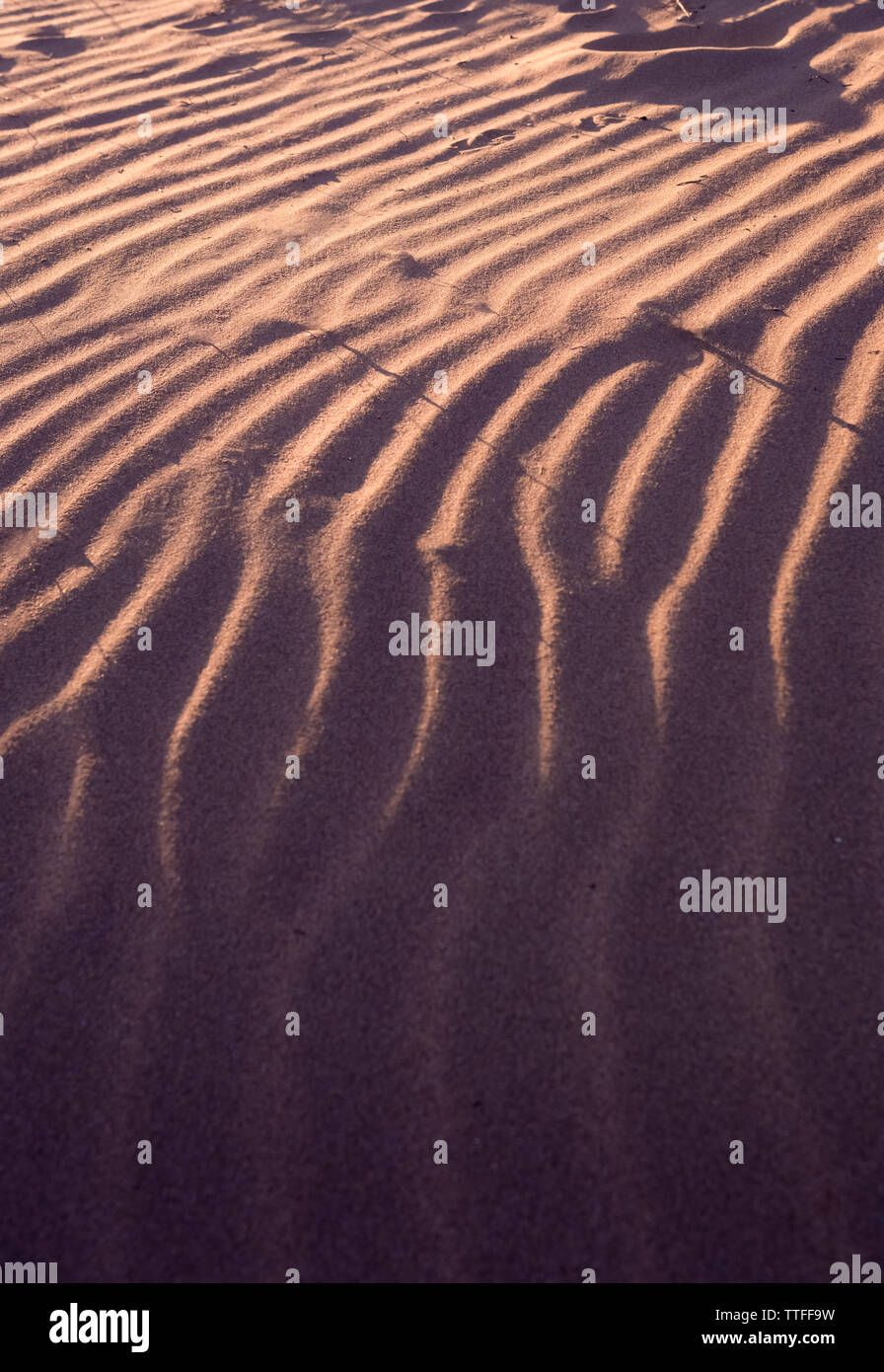 Fine sand dunes at sunset Stock Photo - Alamy