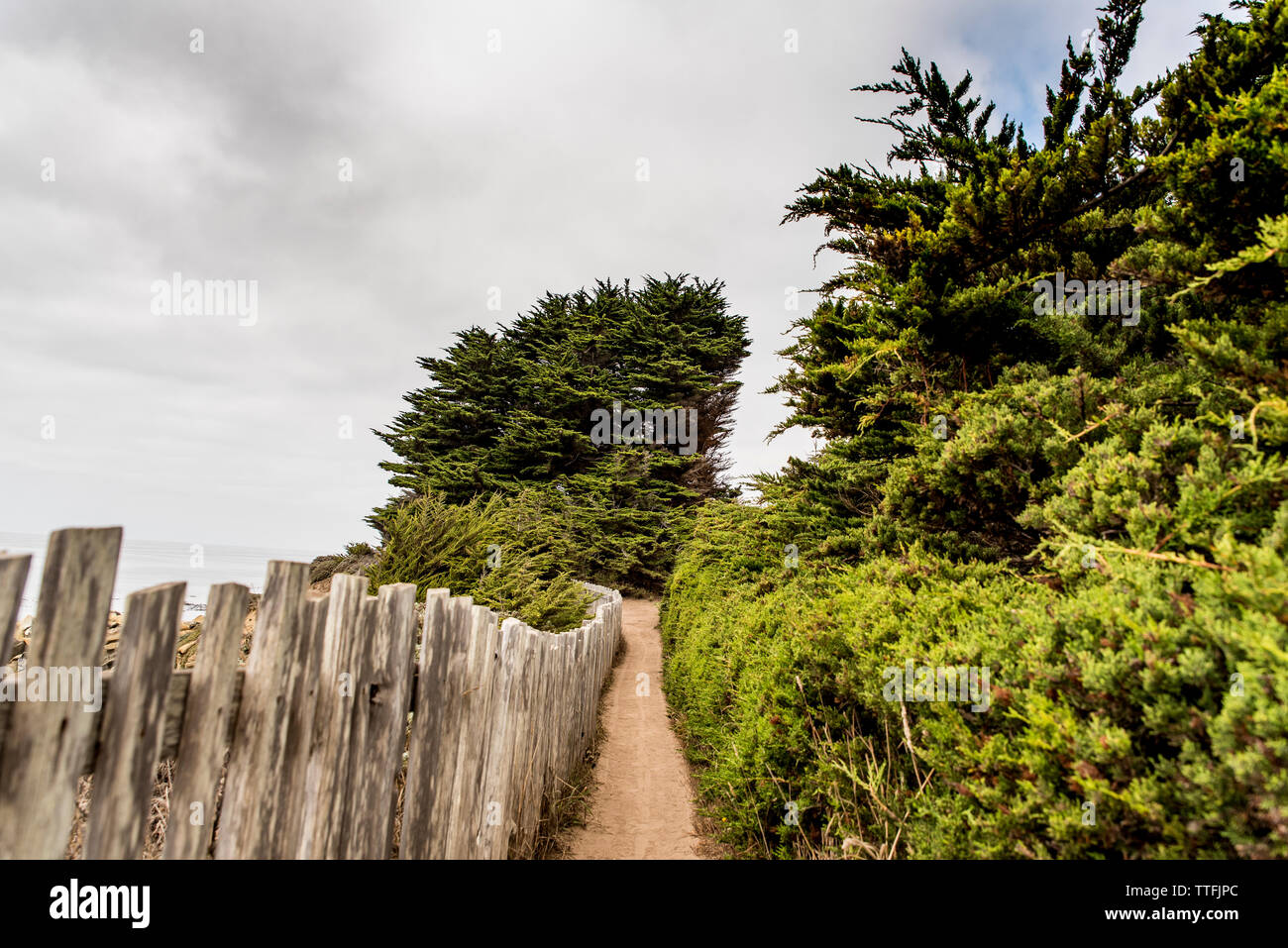 Cypress fence hi-res stock photography and images - Alamy