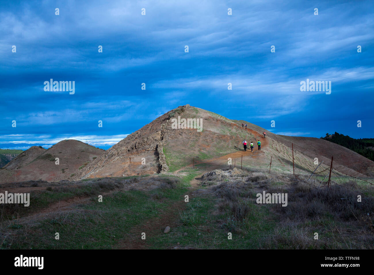 Lomo hi-res stock photography and images - Alamy