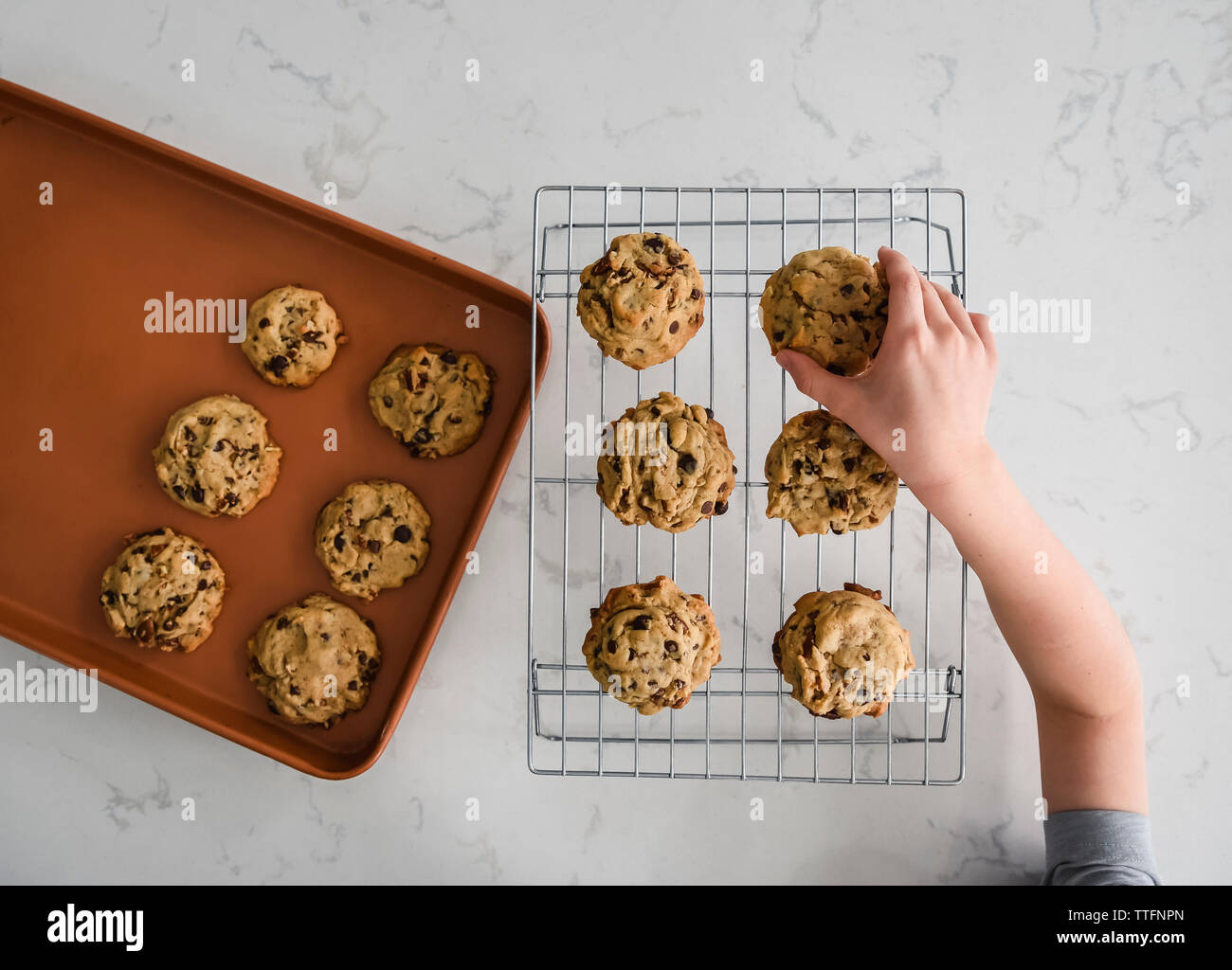 Hand of young child reaching to take a cookie off of a cooling rack ...