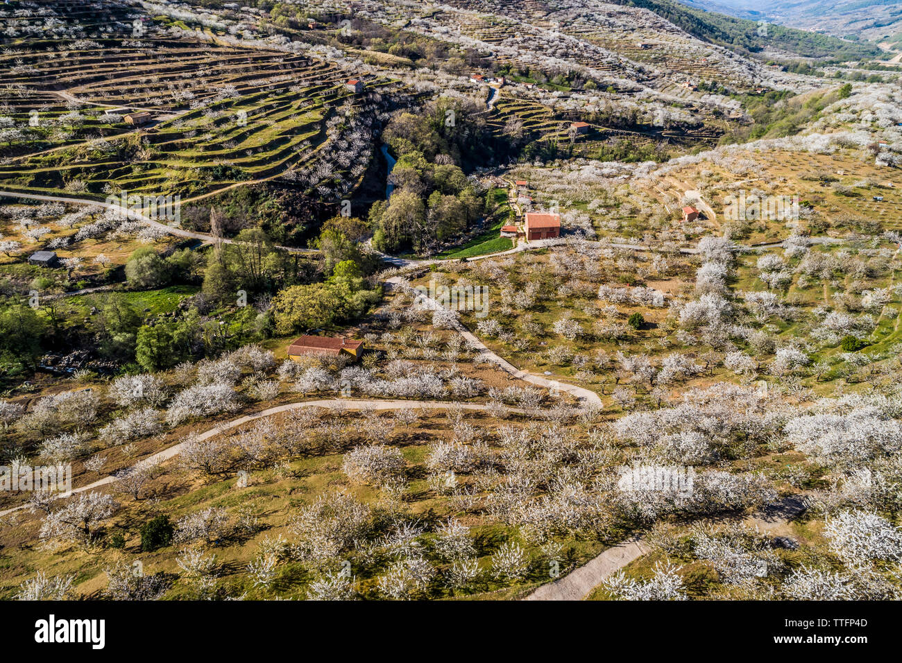 Jerte spain hi-res stock photography and images - Alamy