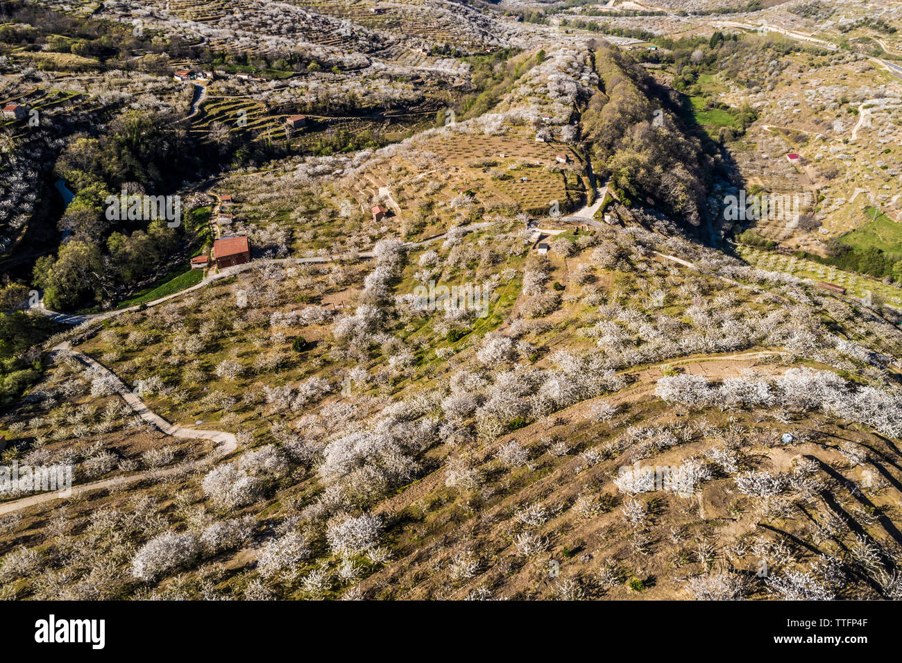 Jerte spain hi-res stock photography and images - Alamy