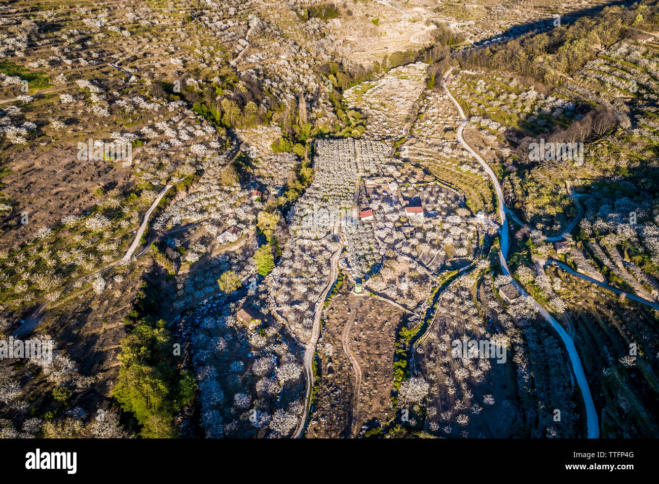 Jerte spain hi-res stock photography and images - Alamy