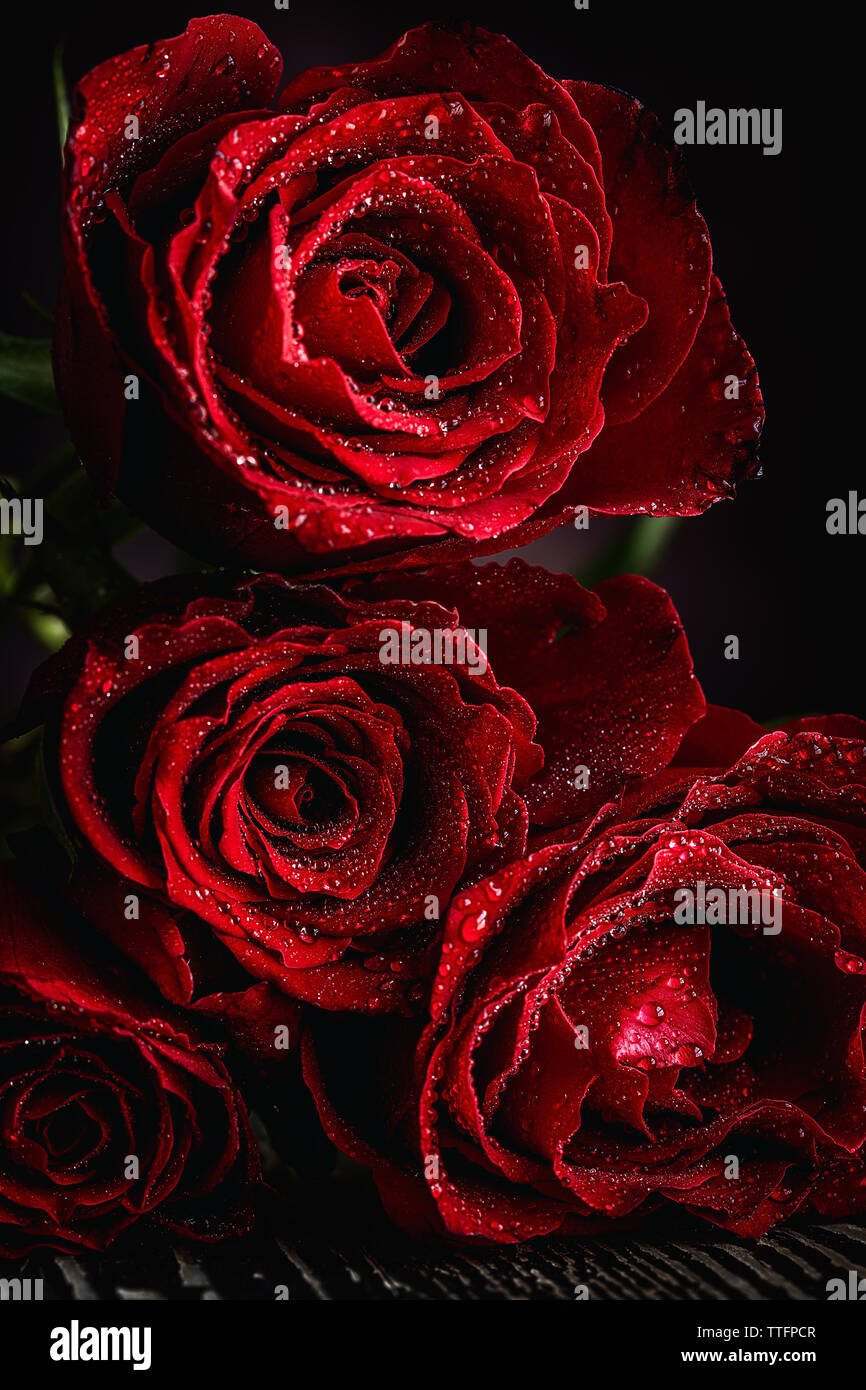 Red roses for Valentine's Day Stock Photo - Alamy