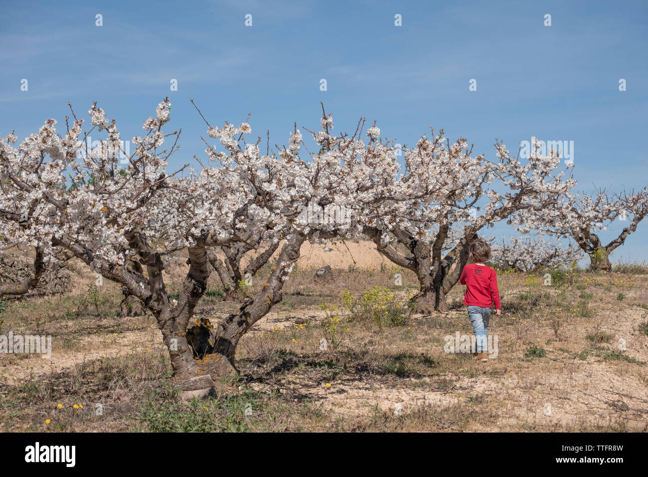 Flowering children hi-res stock photography and images - Alamy