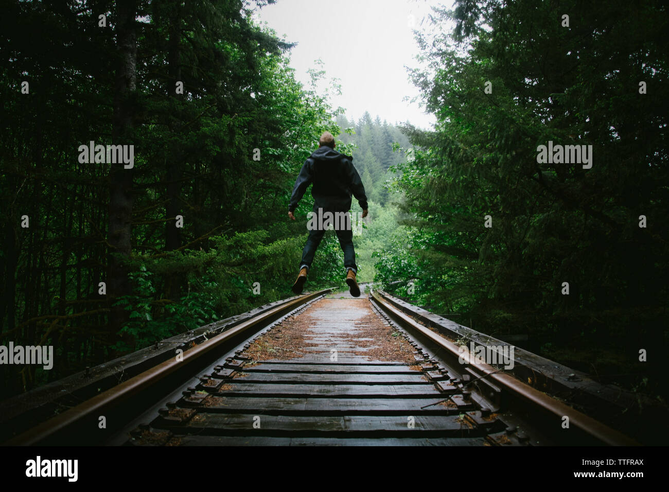 Rear view of man jumping on railway tracks amidst trees Stock Photo - Alamy