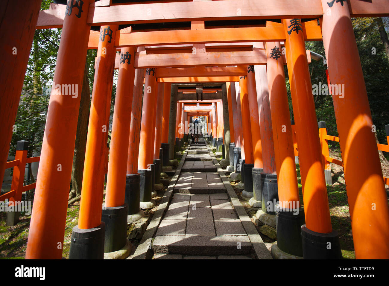 Gallery ritual Torii gate with stone path a sunny day at the shrine of ...