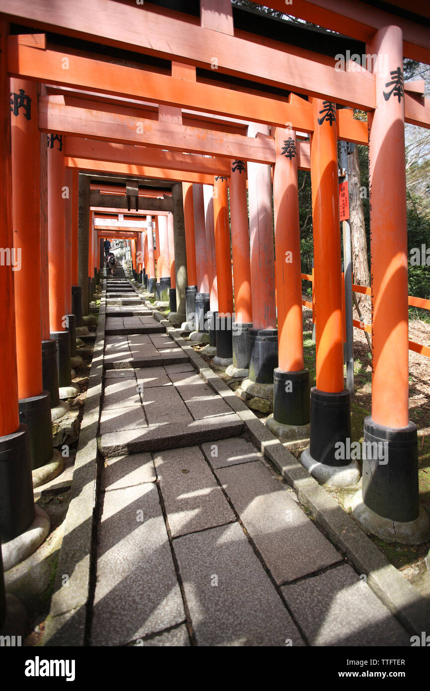 Gallery ritual Torii gate with stone path a sunny day at the shrine of ...