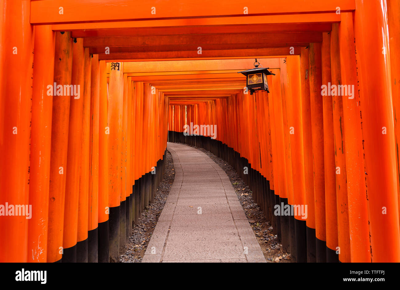 Side view fushimi inari shrine hi-res stock photography and images - Alamy