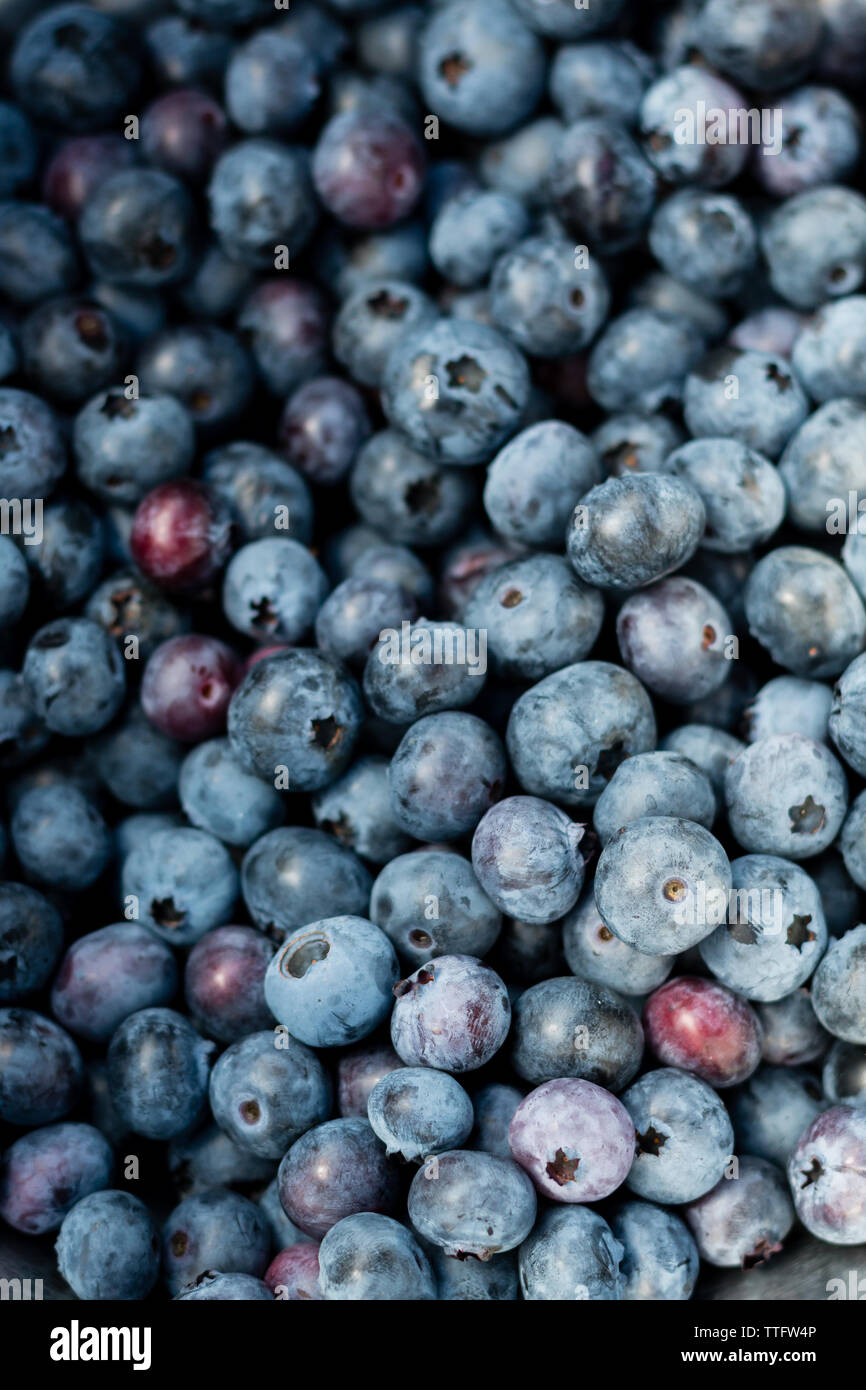 Hand picked blueberry hi-res stock photography and images - Alamy