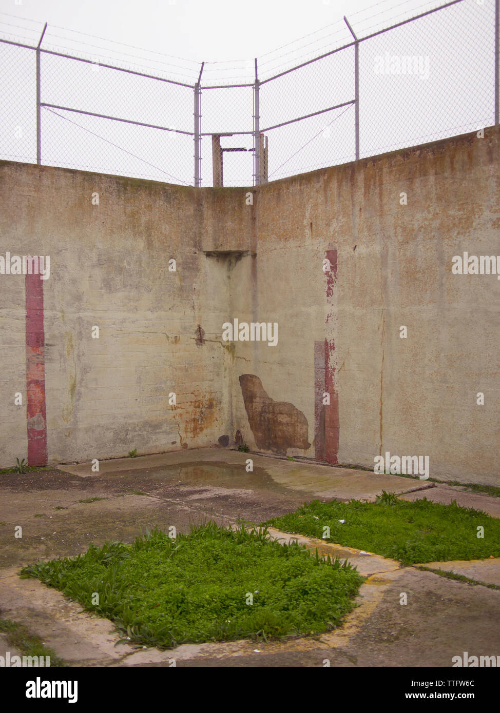 Prison Yard Wallpaper