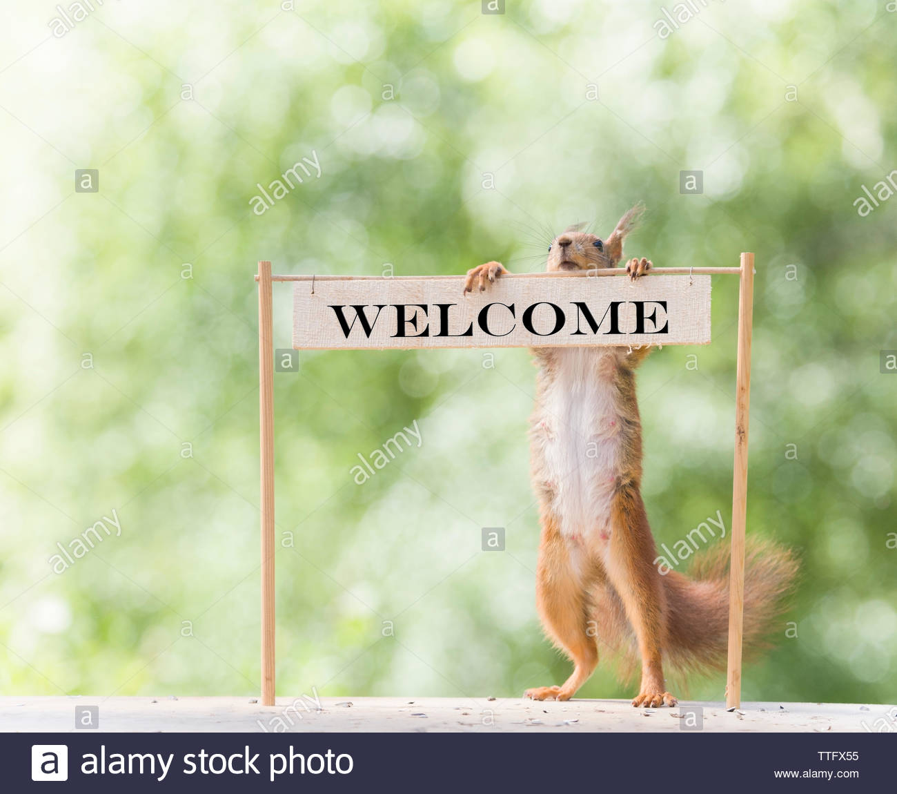Welcome Back Sign Stock Photos & Welcome Back Sign Stock Images - Alamy